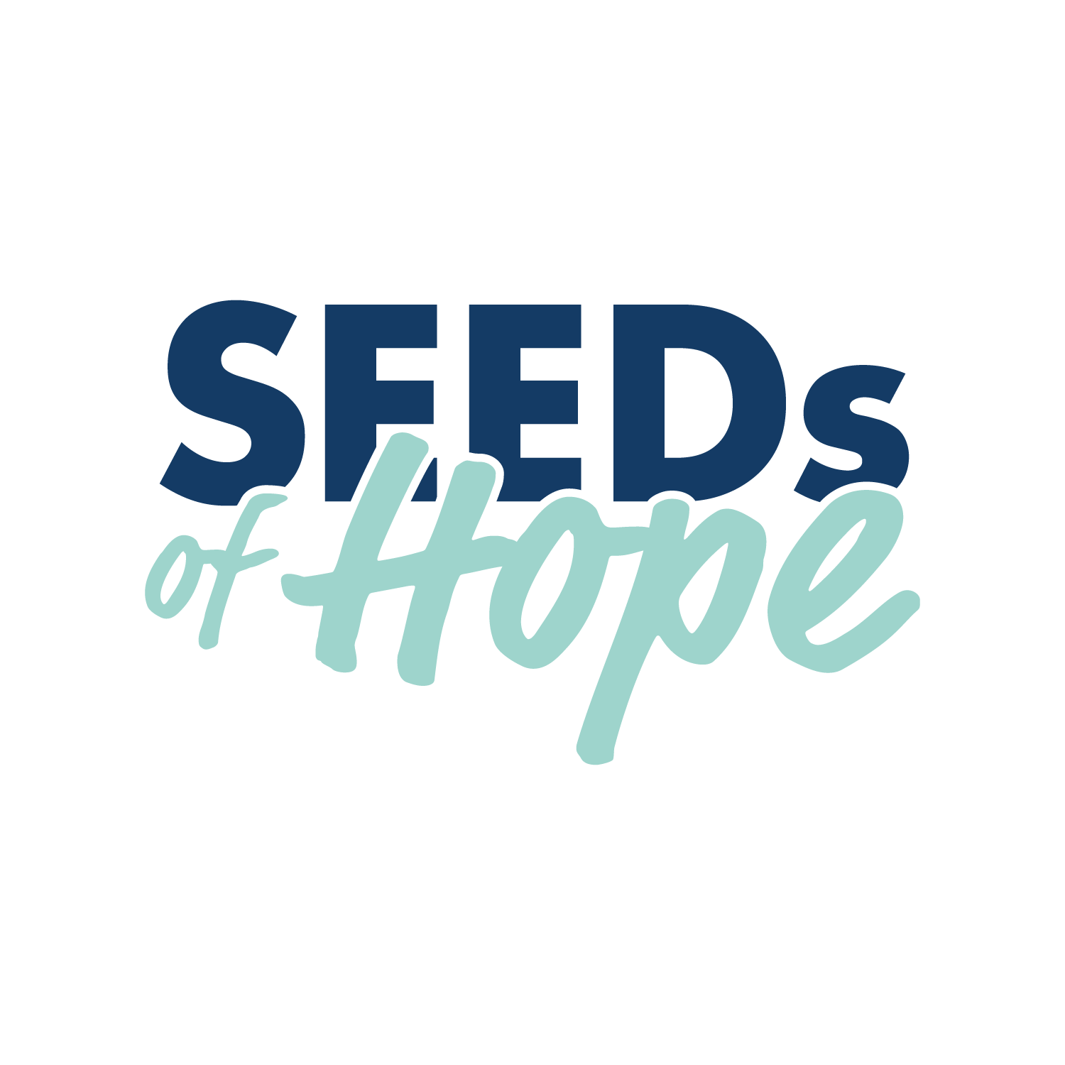 Our Organization | S.E.E.D. Planning Group